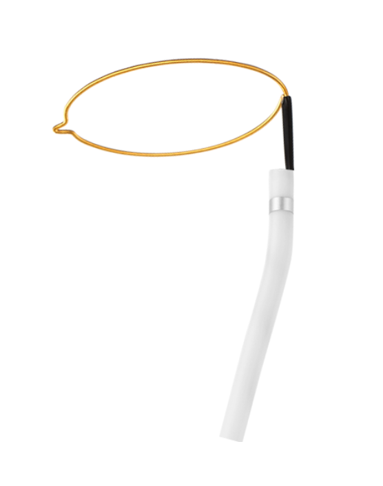 New Addition to Vascular Snare Product Line | Applied Radiology