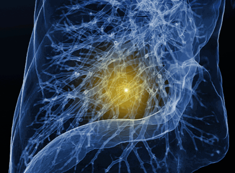 Bayer Completes Blackford Acquisition | Applied Radiology