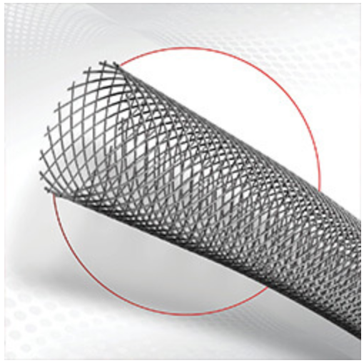 MicroStent Vascular Stent Receives FDA Breakthrough Device Designation ...