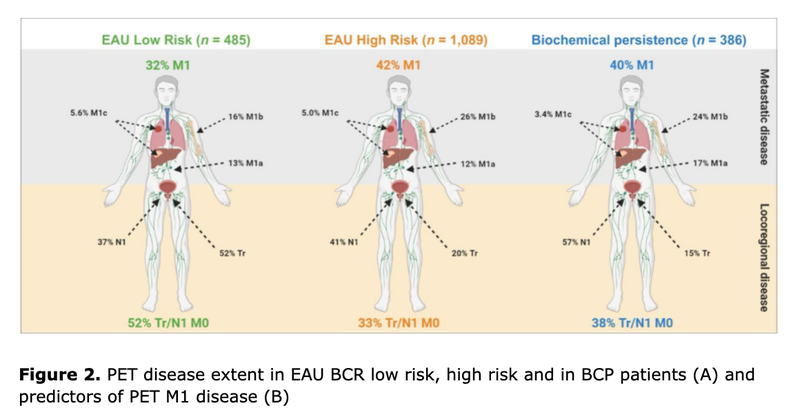 PSMA PET Validates EAU Prostate Cancer Risk Classification System ...