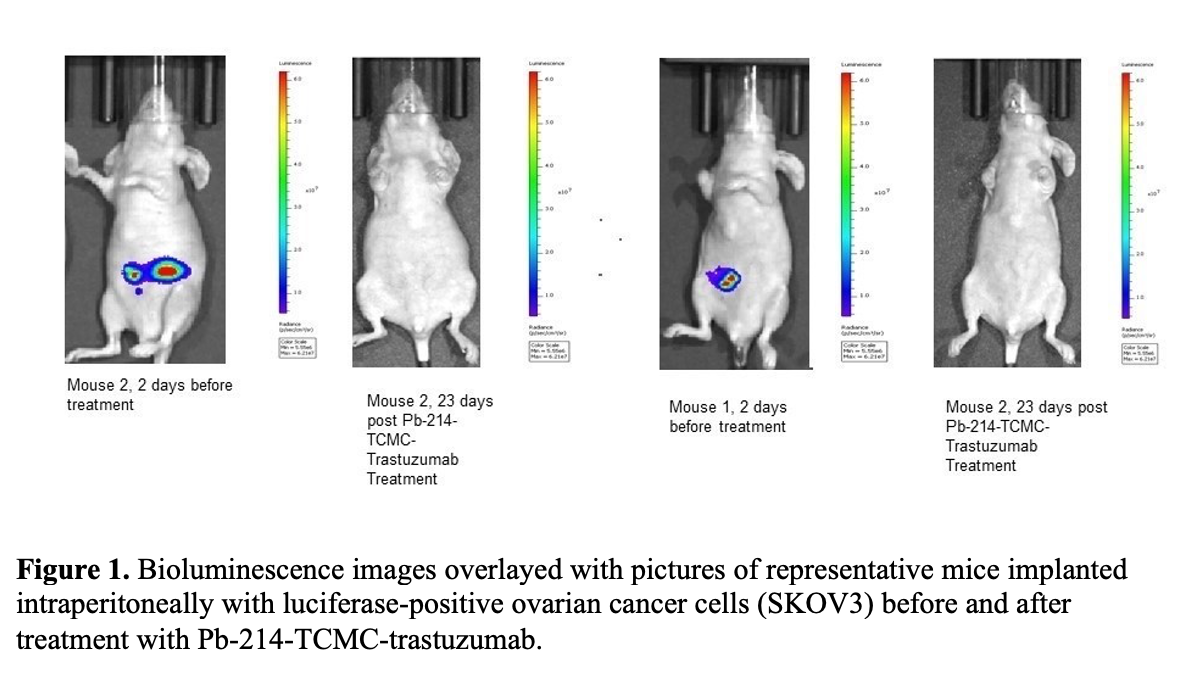 SNMMI ’21: Preclinical Trials Show Promise for Ovarian Cancer ...