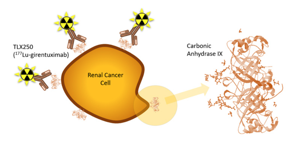 First Patient Dosed in Combined Targeted Radiation Therapy and DNA ...