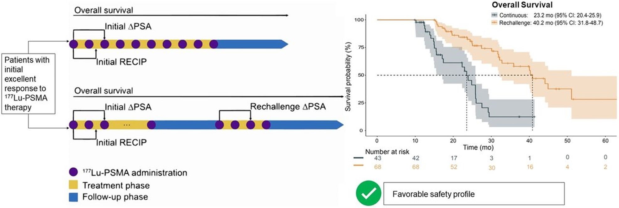 Extended PSMA-Targeted Therapy is Safe and Effective in Prostate Cancer ...