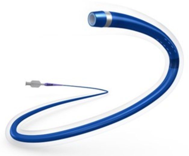 Argon Medical Acquires Assets of Accurate Medical Therapeutics ...