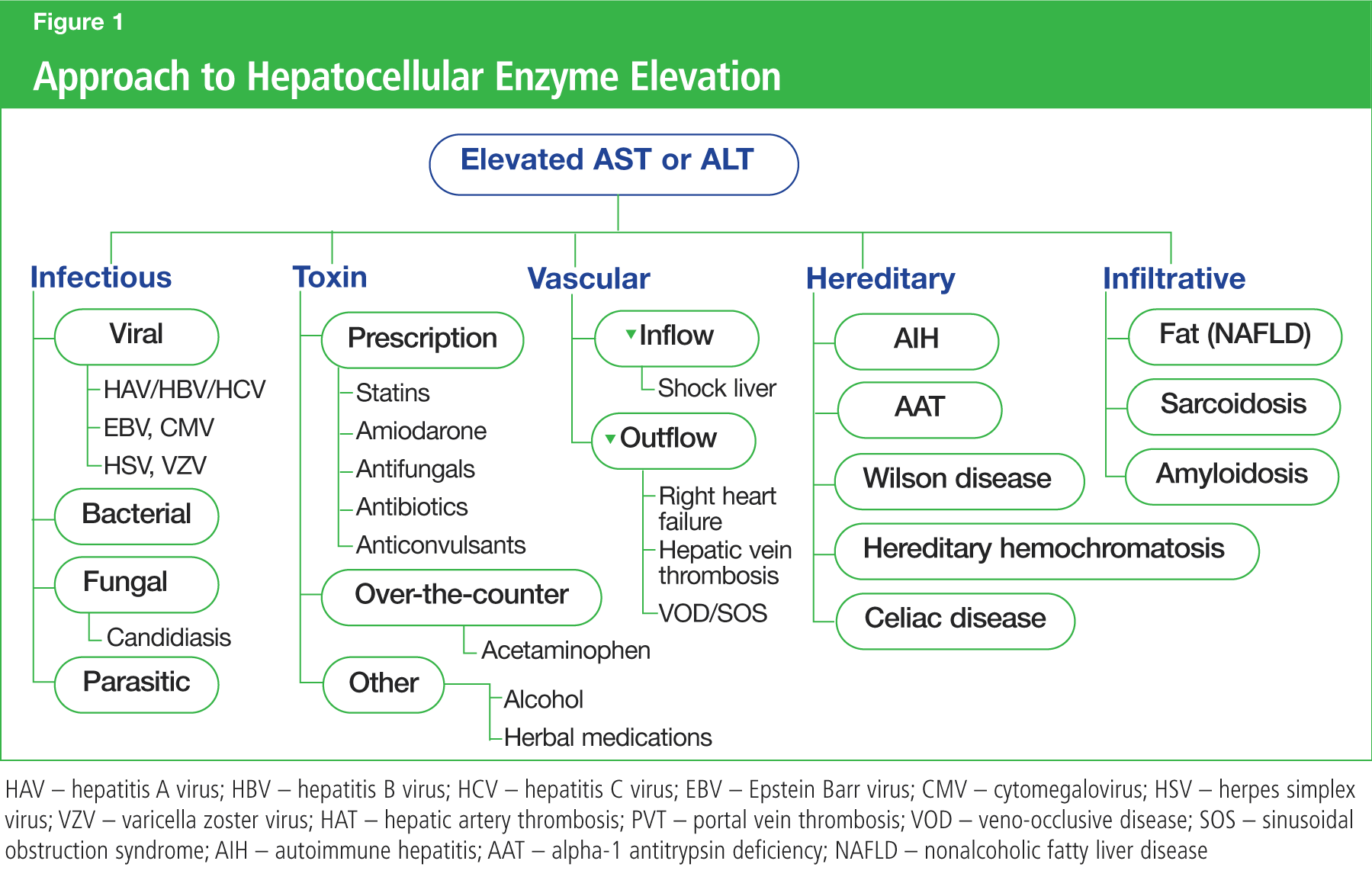 Tes Fungsi Hati – Bhyllabus – l'énigme