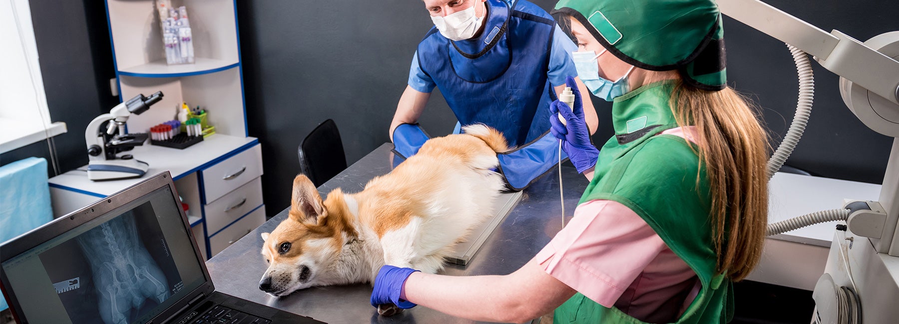 Veterinary Lab Procedures - Canadore College
