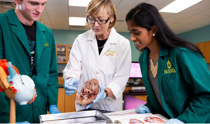 Exclusive Accelerated Programs