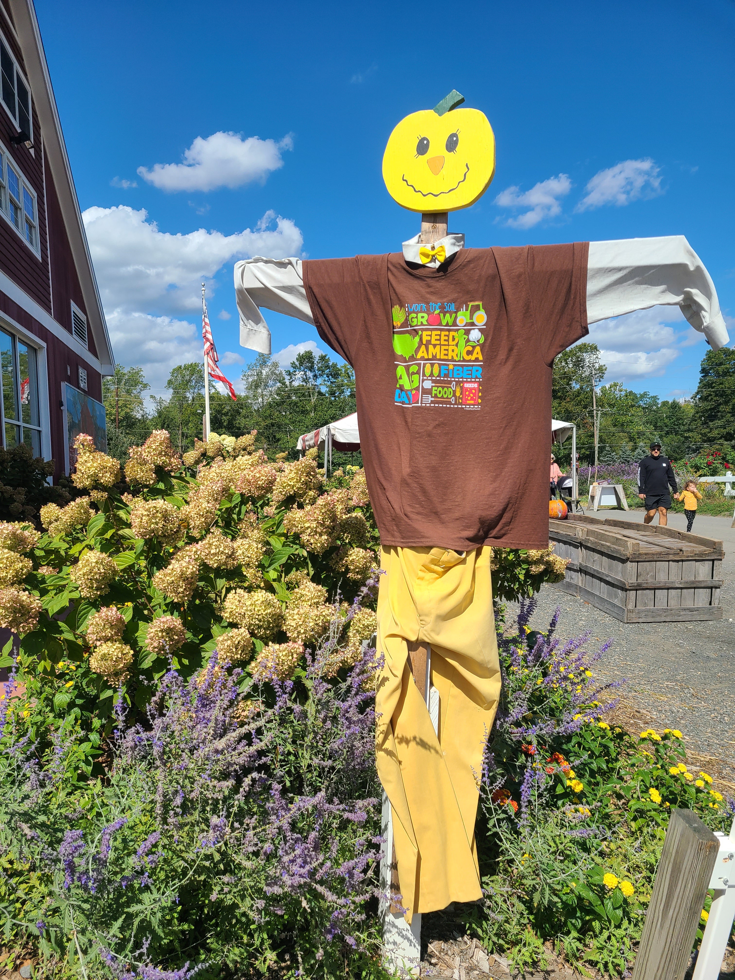 Read & Pick Scarecrows | NJ Kids