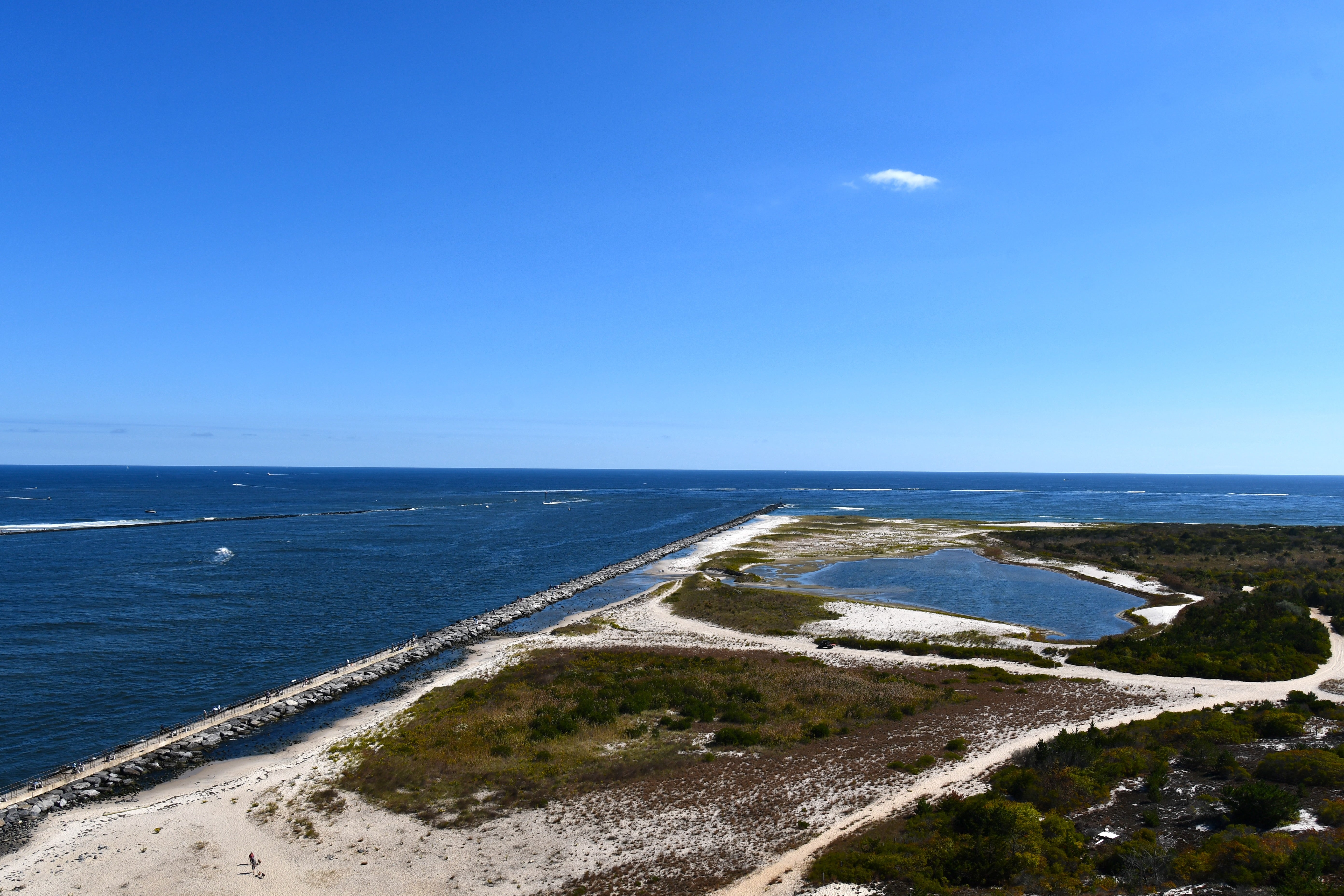 EcoSystems at Risk: Threatened and Endangered in NJ at New Jersey State ...