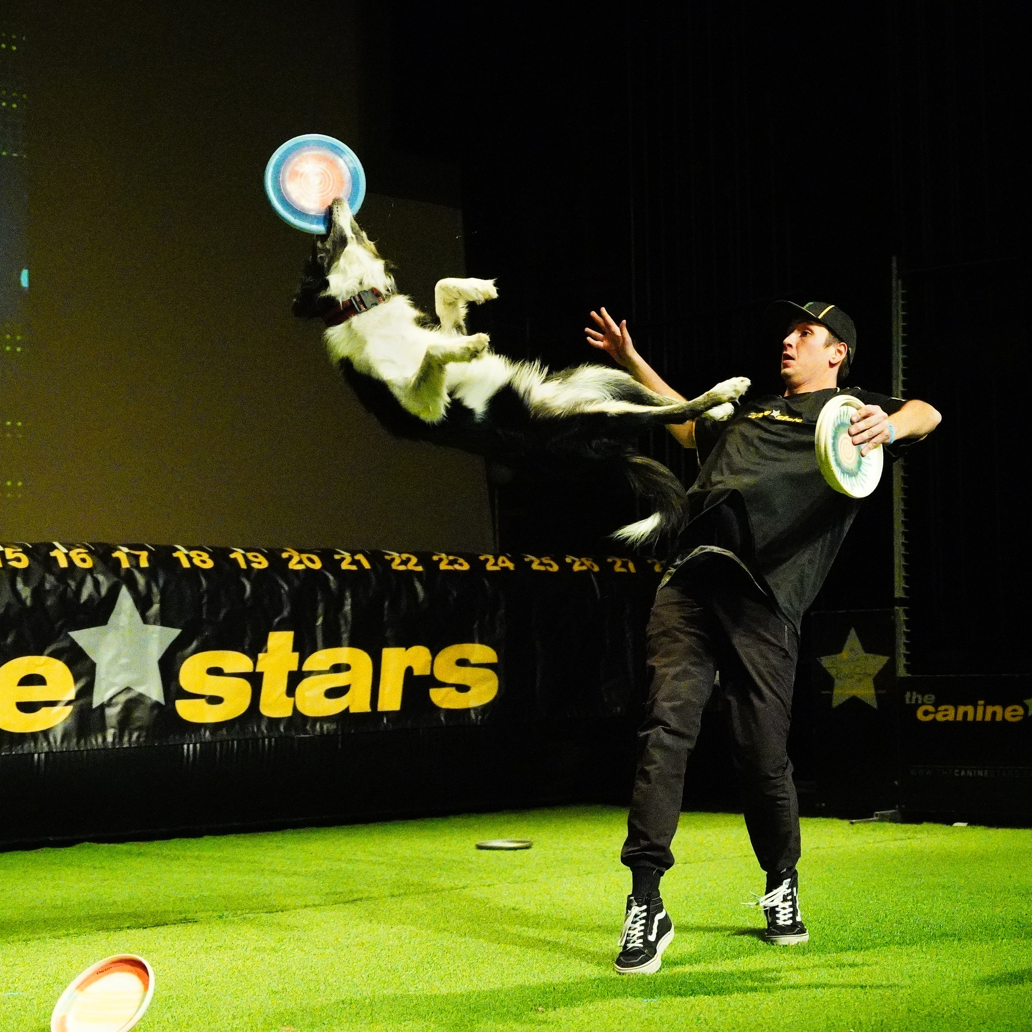 The Canine Stars Stunt Dog Show | NJ Kids