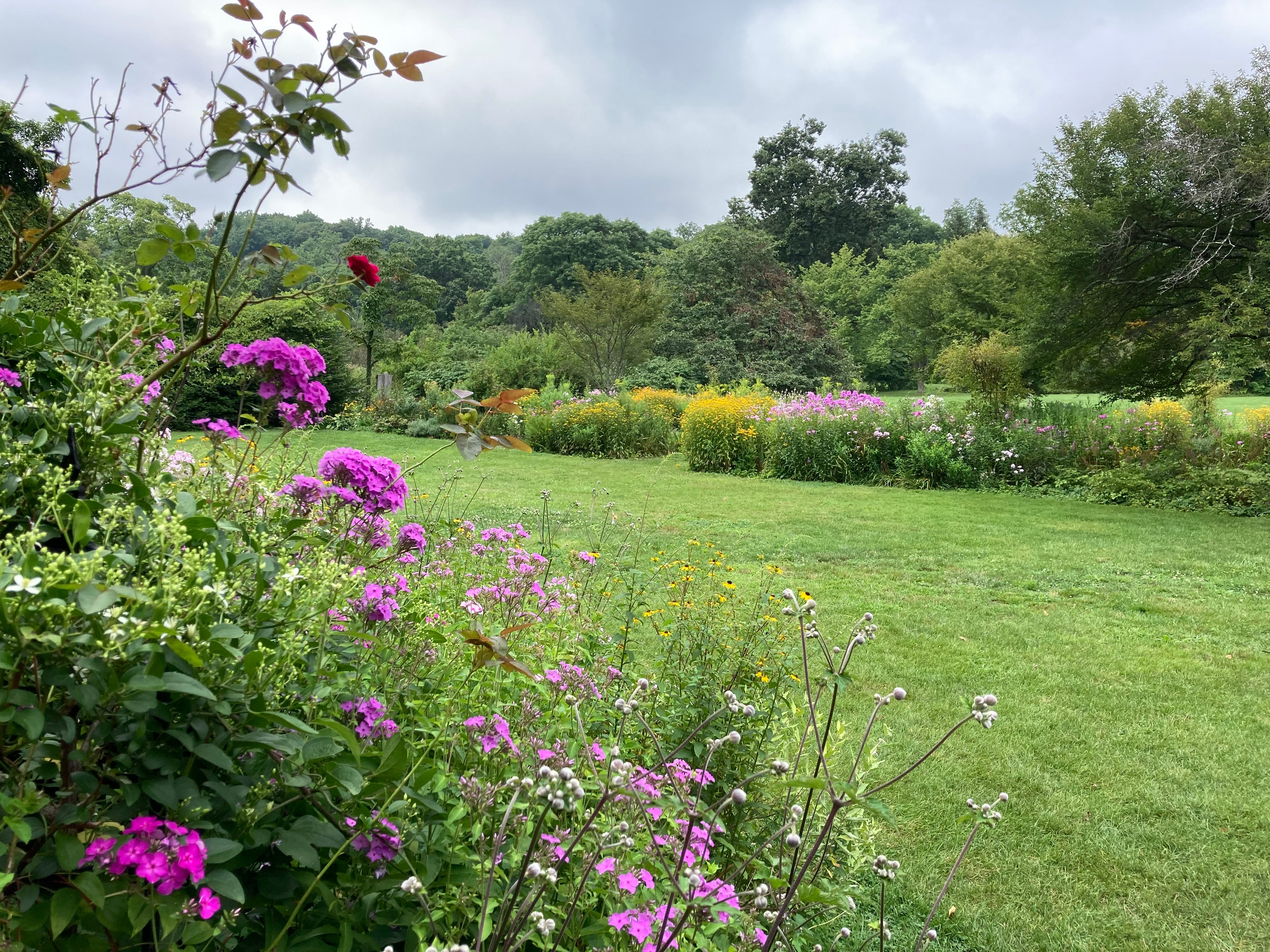 Easy-to-Grow Native Plants (Part 1) at NJ Botanical Garden | NJ Kids