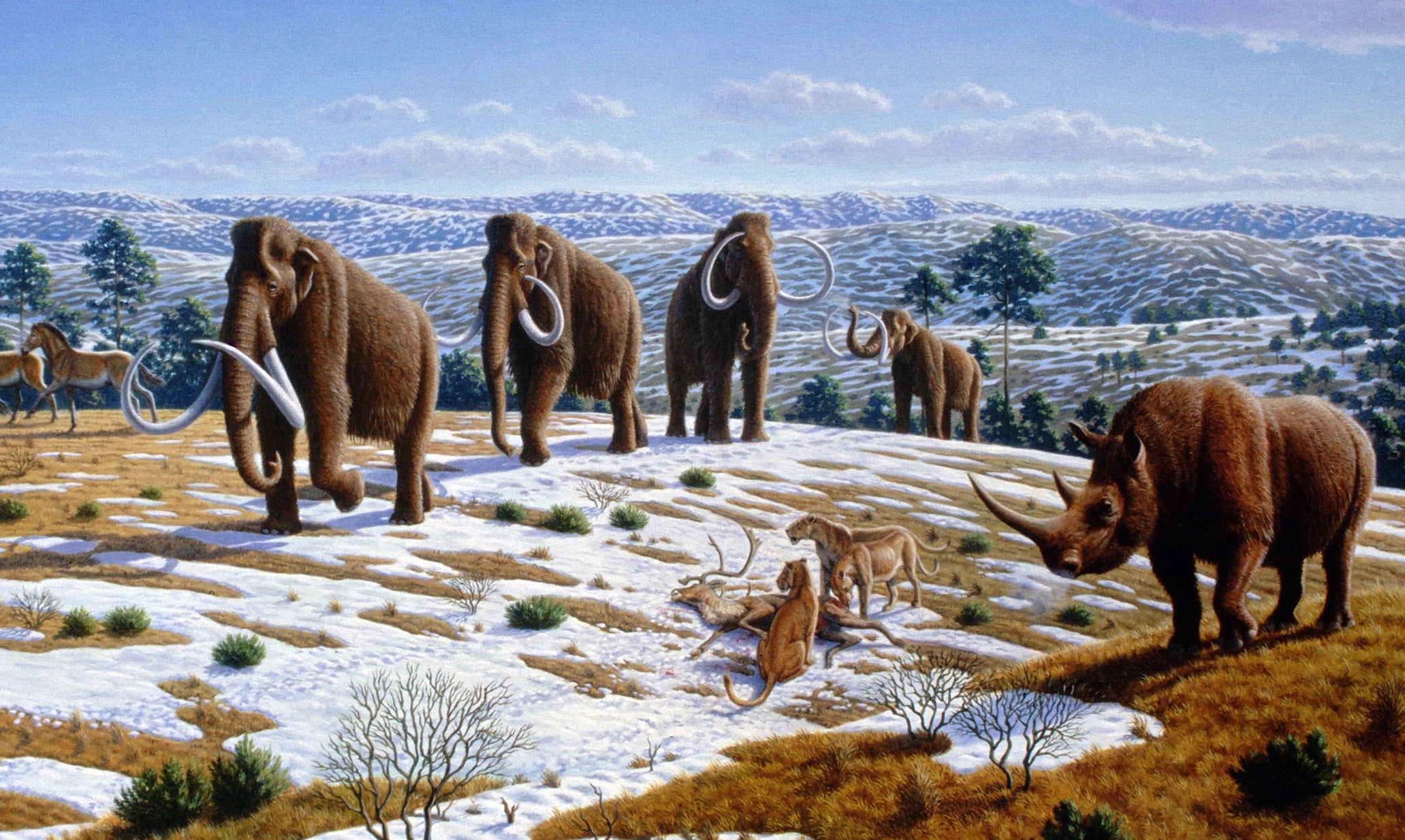Ice Age Late Night at the Rutgers Geology Museum | NJ Kids