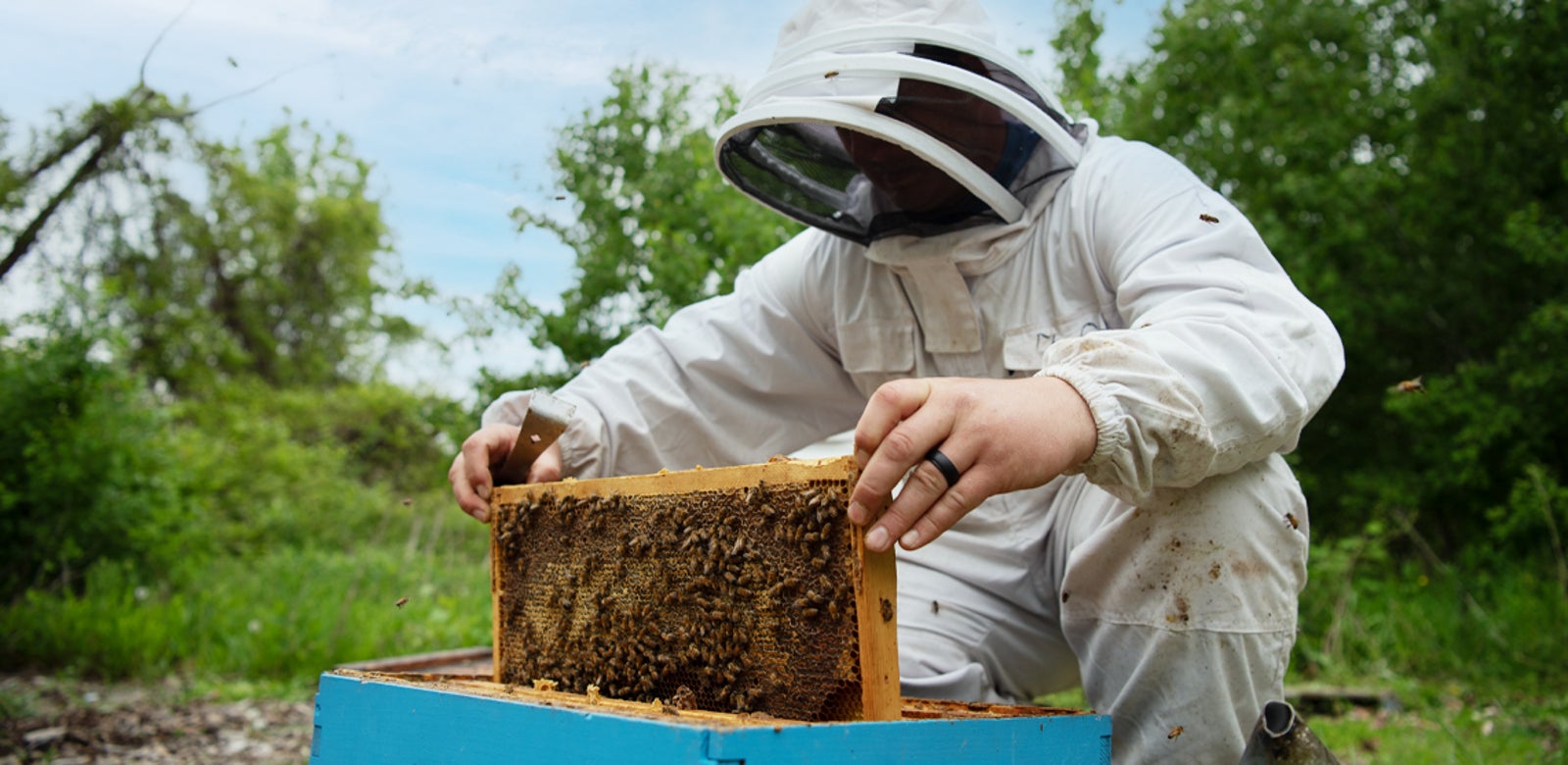 Apply to Niagara College Programs at ontariocolleges.ca ...