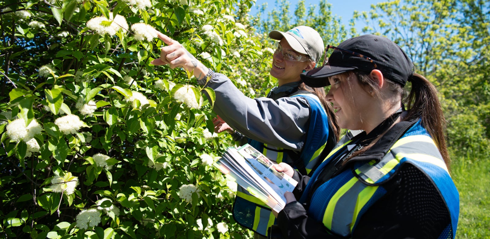 Apply to Niagara College Programs at ontariocolleges.ca ...
