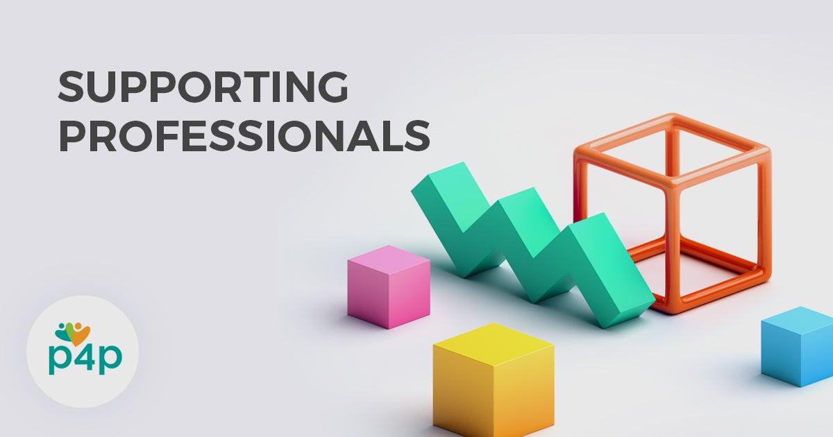 Partners for Planning - Supporting Professionals - Landing Page