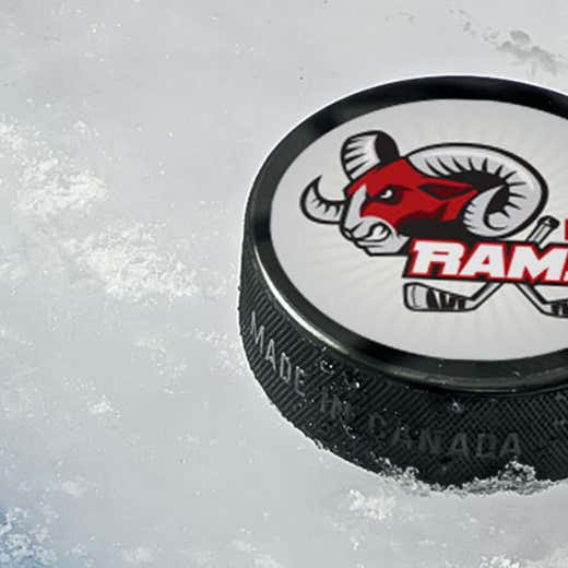 Hockey Puck Stickers | 100% Quality